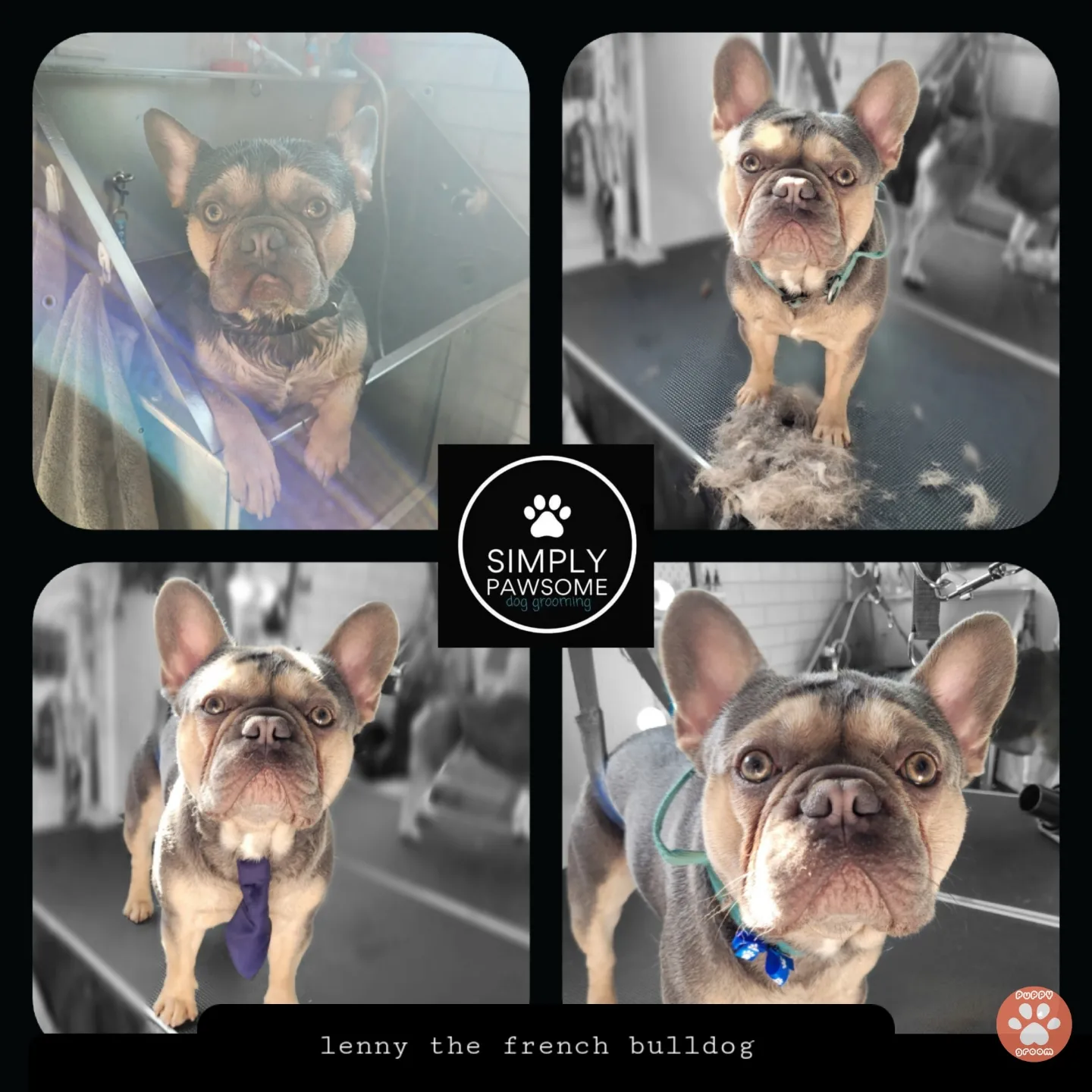 Online booking - Simply Pawsome