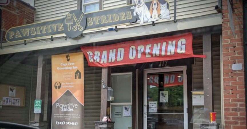 Online booking - Pawsitive Strides Corning