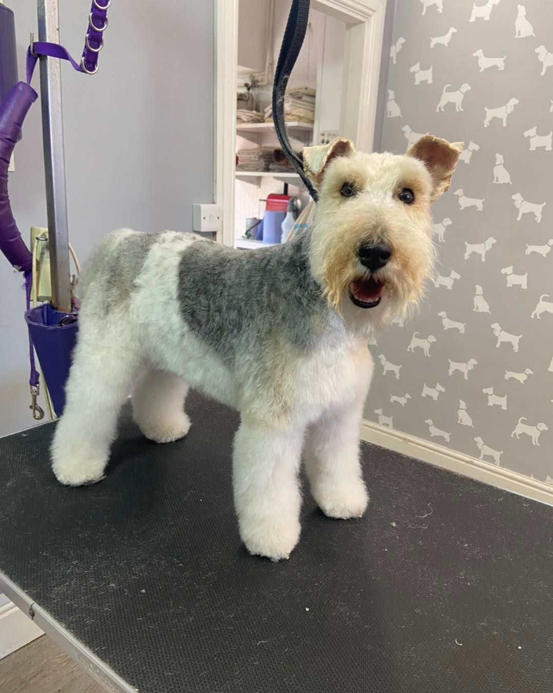 Online booking - Short bark and sides