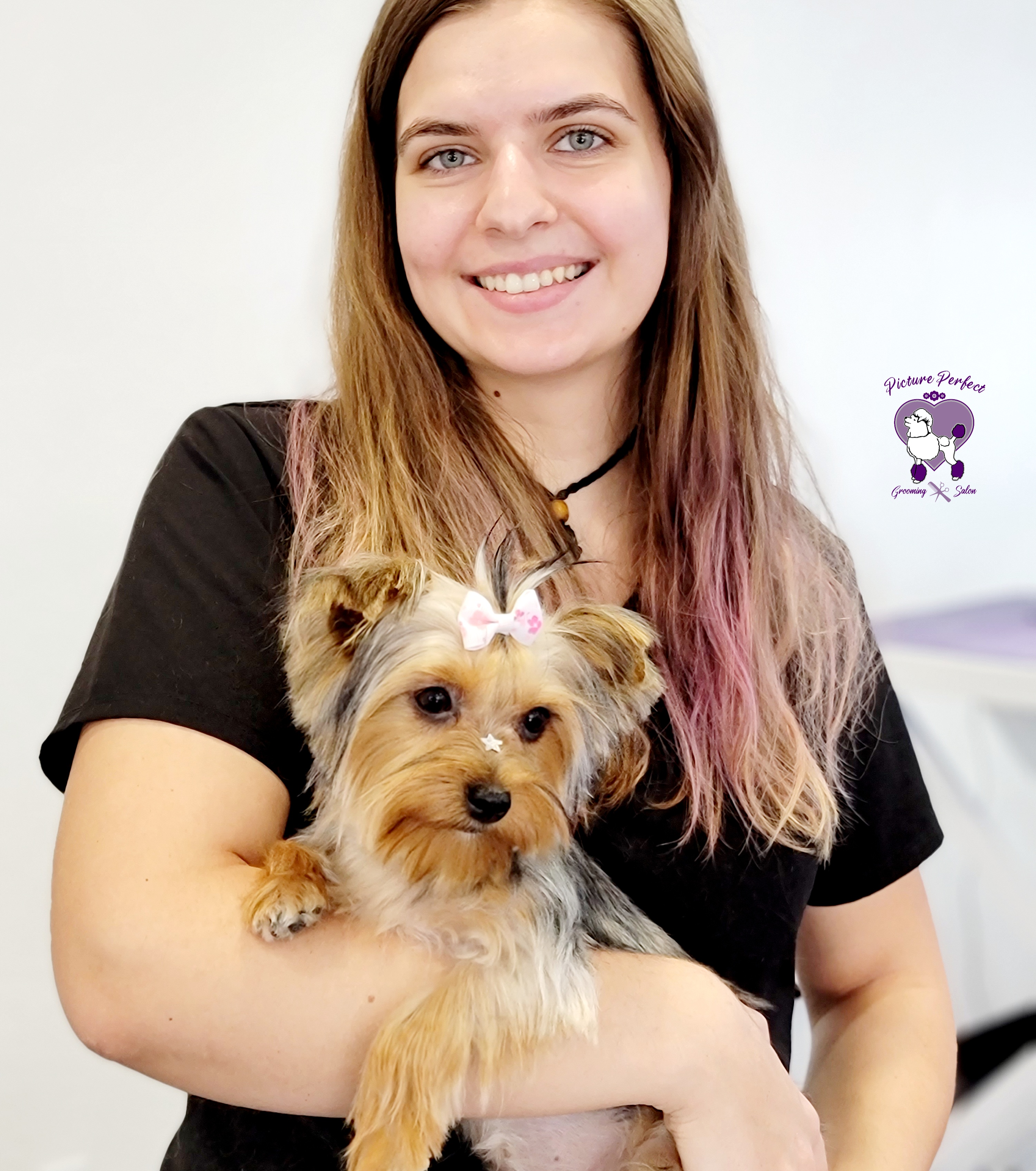 Online booking - Picture Perfect Grooming Salon