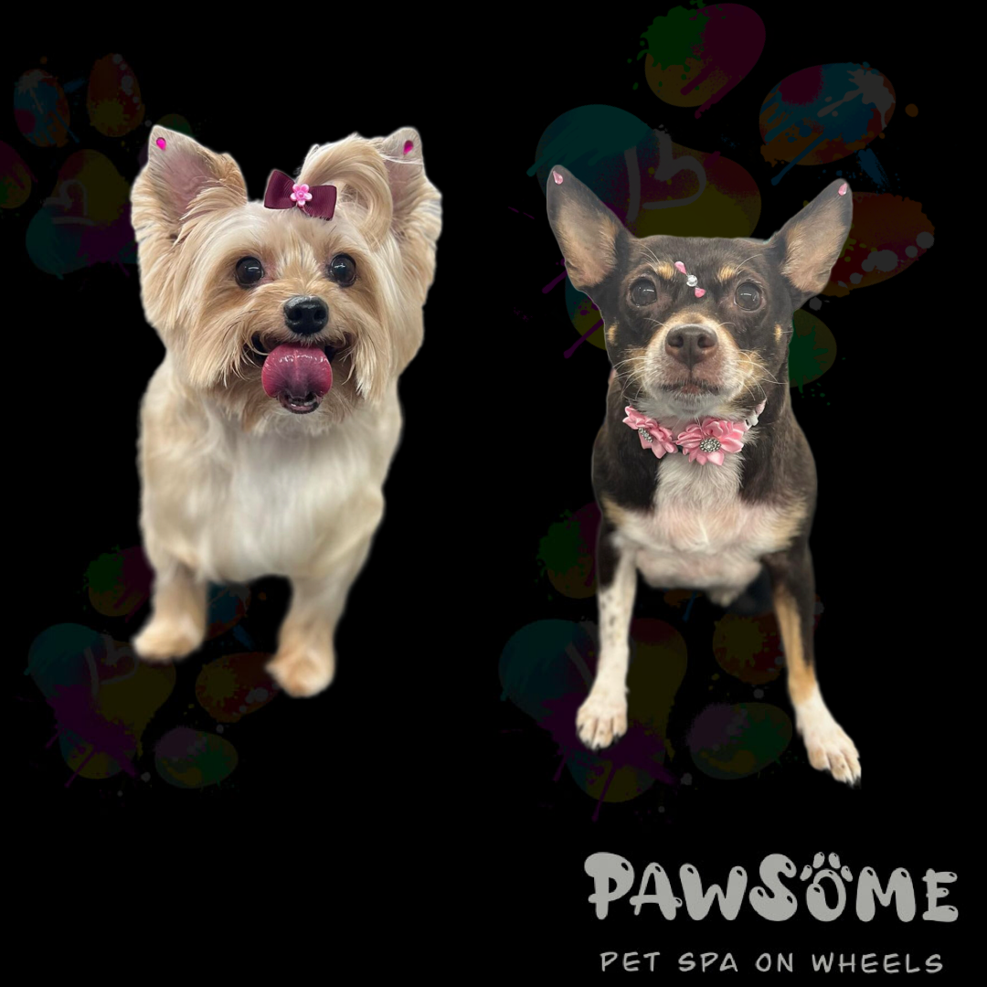 Online booking - Pawsome pet spa