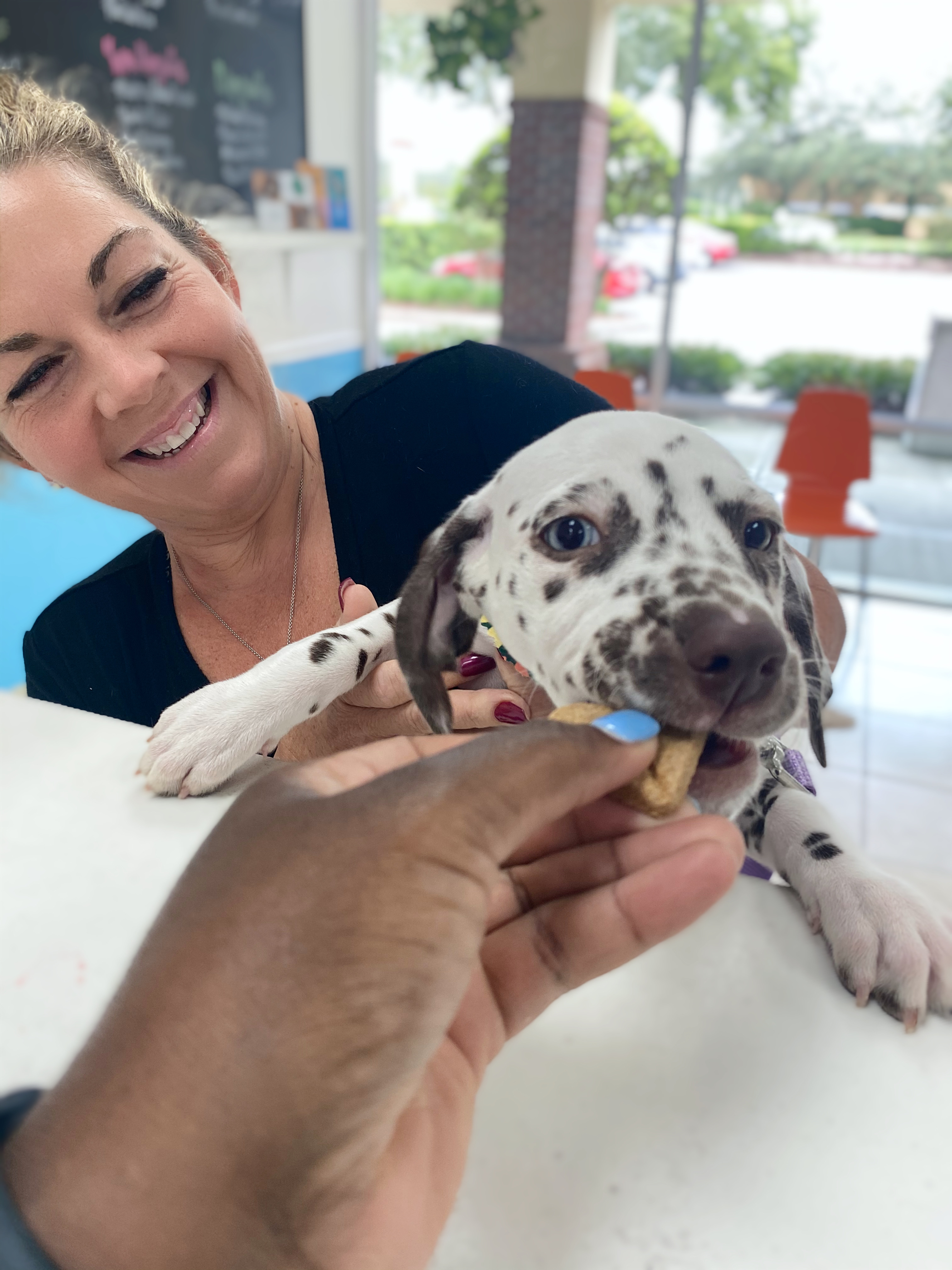 Online booking - The Paw Shop