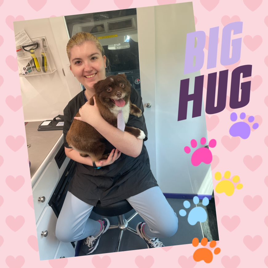 Online booking - Dapper Dogs Mobile Grooming