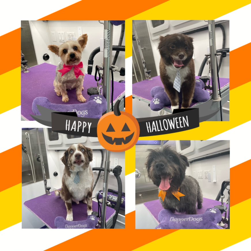 Online booking - Dapper Dogs Mobile Grooming