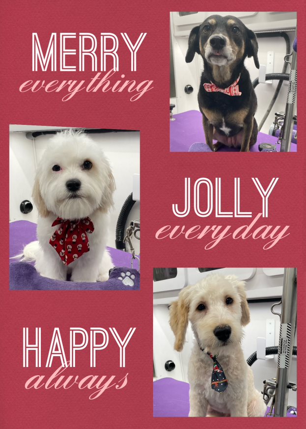 Online booking - Dapper Dogs Mobile Grooming