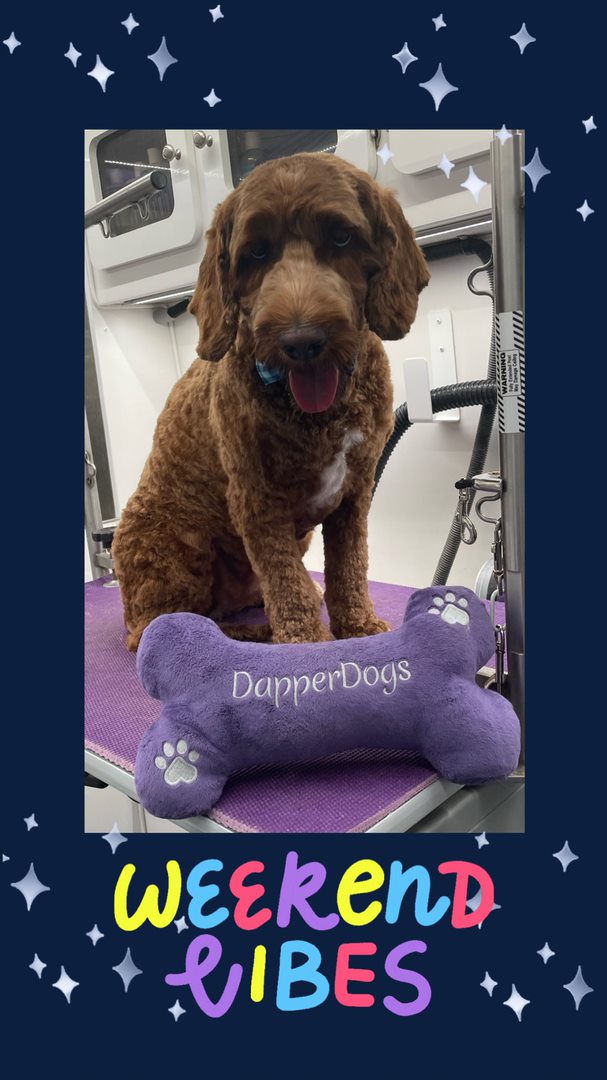 Online booking - Dapper Dogs Mobile Grooming