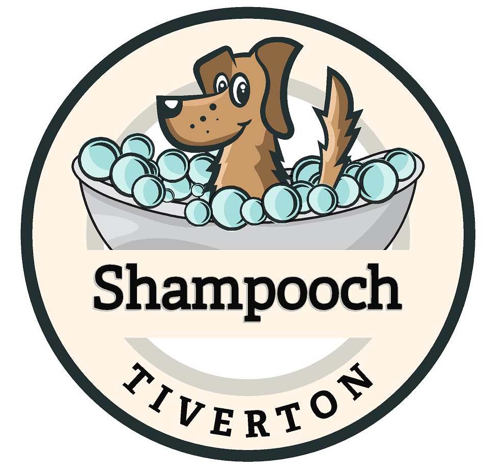 Intake Form - Shampooch Tiverton