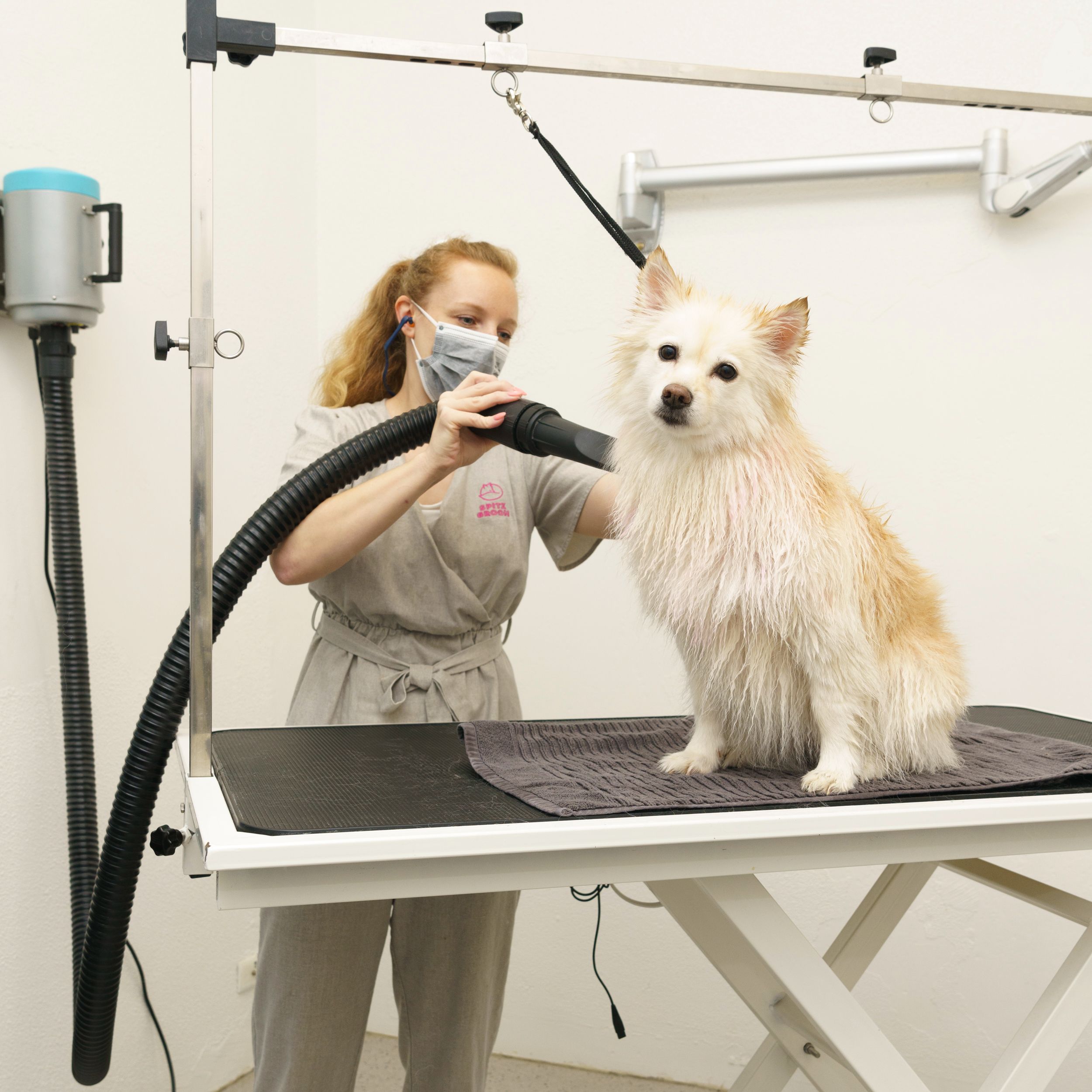 Online booking - Spitz Groom