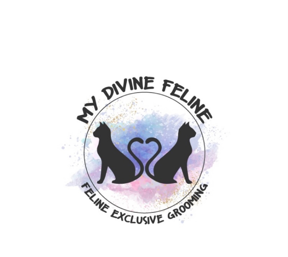 New Client Form - My Divine Feline