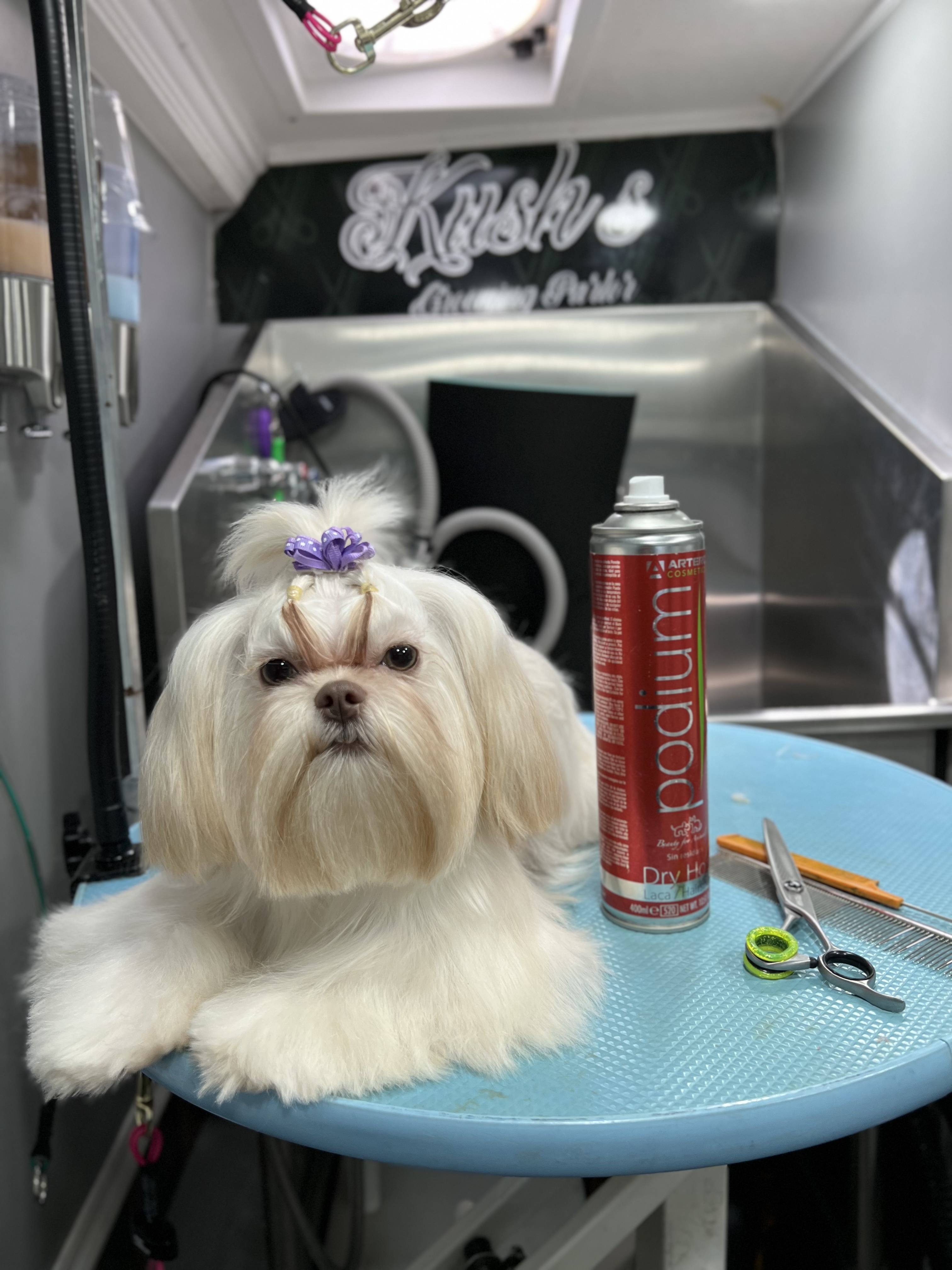 Online booking - Kushs Grooming Parlor