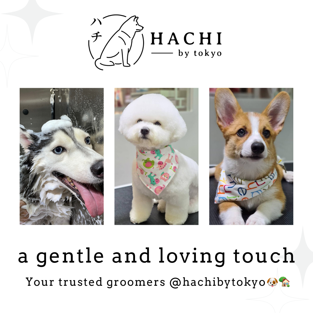 Online booking - Hachi - by tokyo