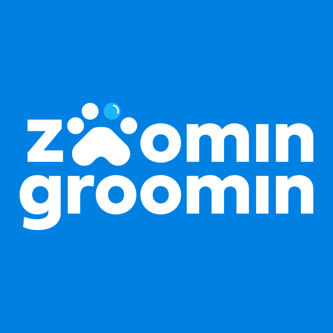 Pet Pampering Profile - Zoomin Groomin Highlands Ranch