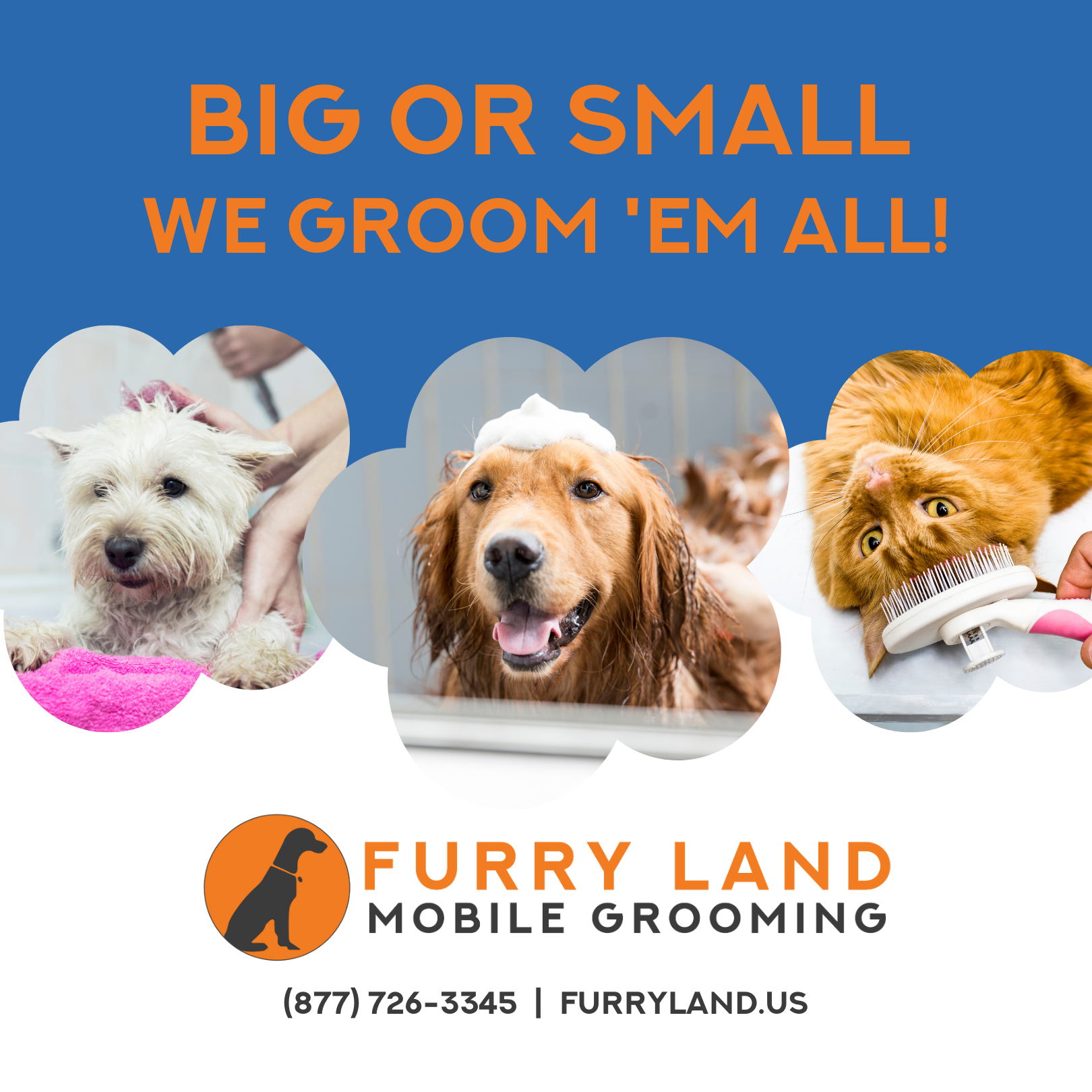 Online booking - Furry Land Mobile Grooming of Colorado Springs
