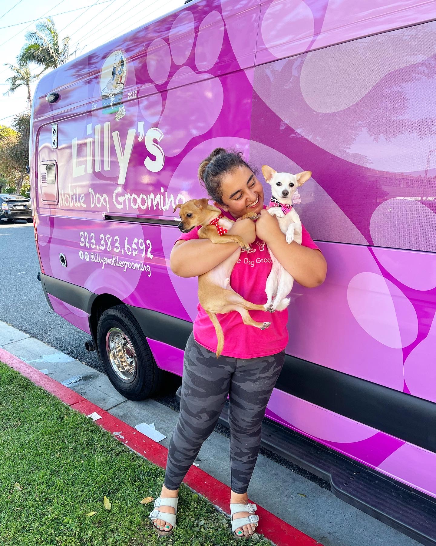Online booking - Lilly's Mobile Dog Grooming