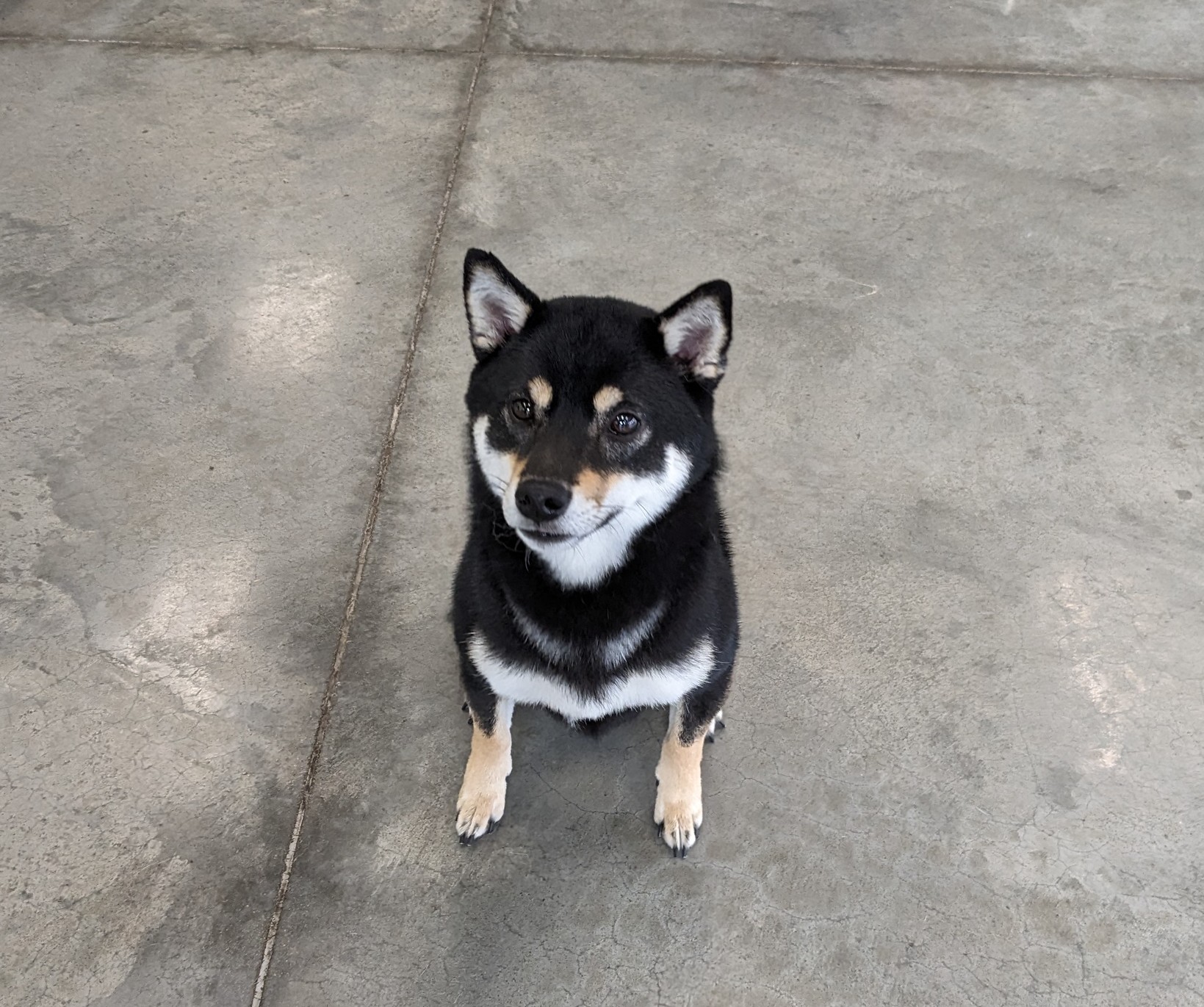 Online booking - Dee-O-Gee Kalispell