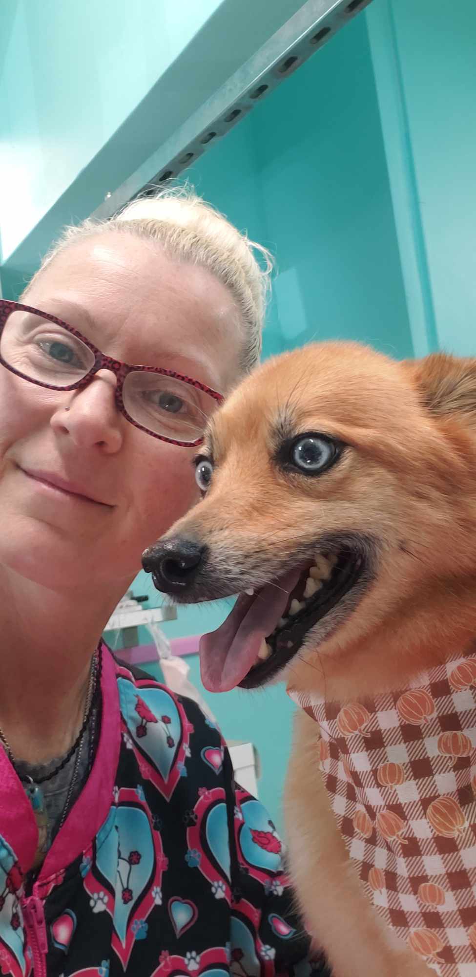 Online booking - Foofie Poochies Hoboken