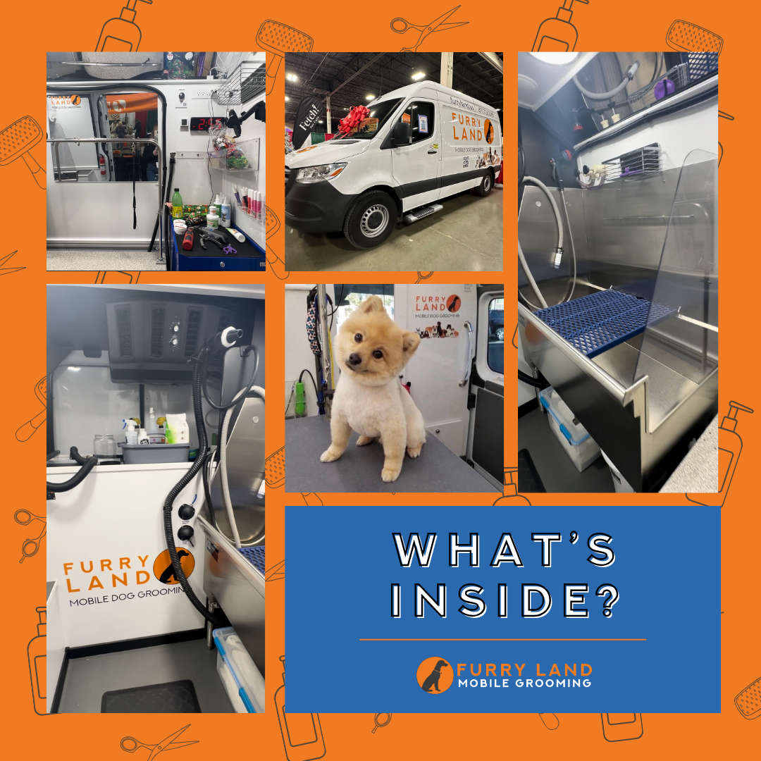 Online booking - Furry Land Mobile Grooming of Colorado Springs