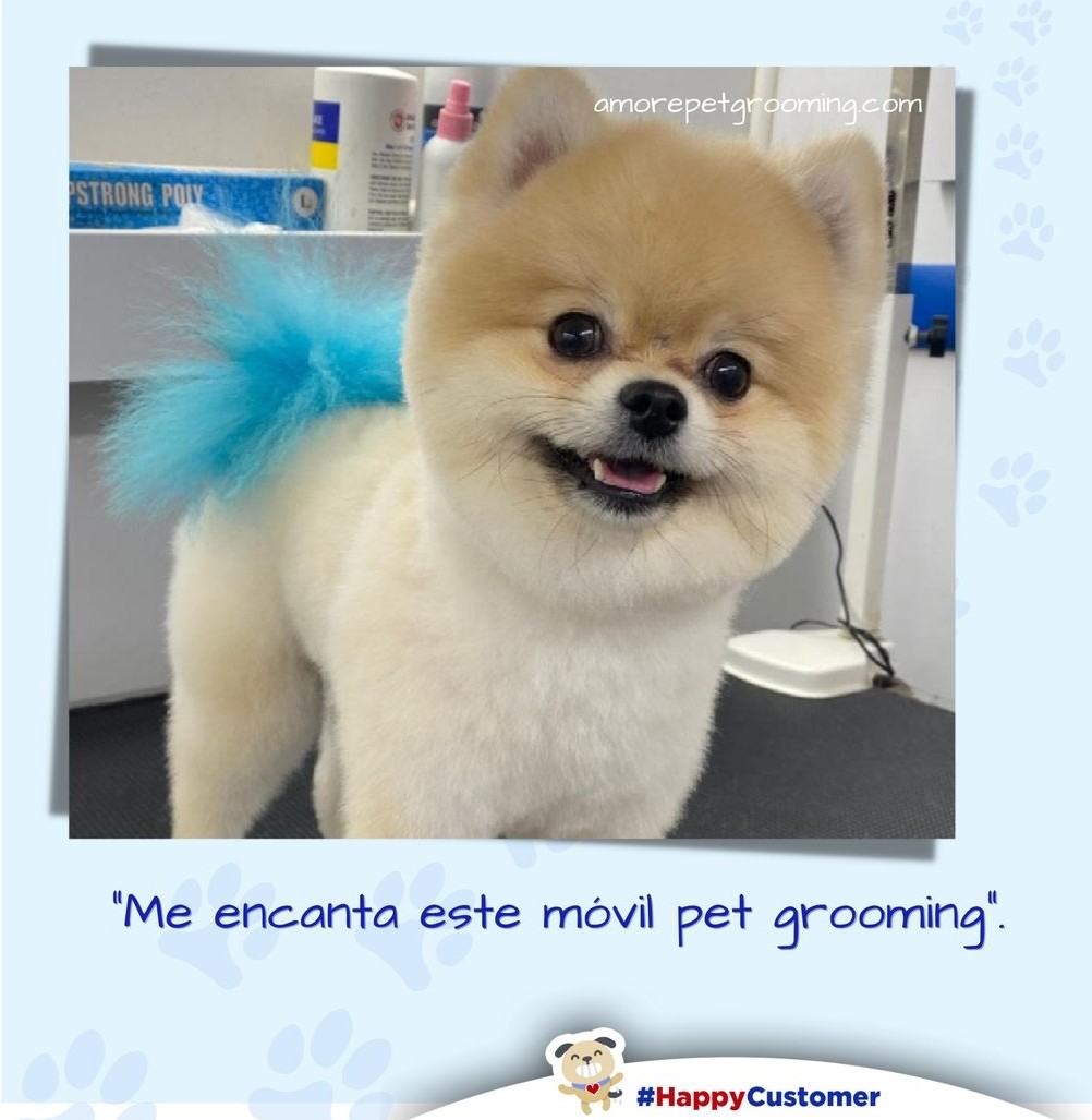 Online booking - Amore Pet Grooming (Mobile)