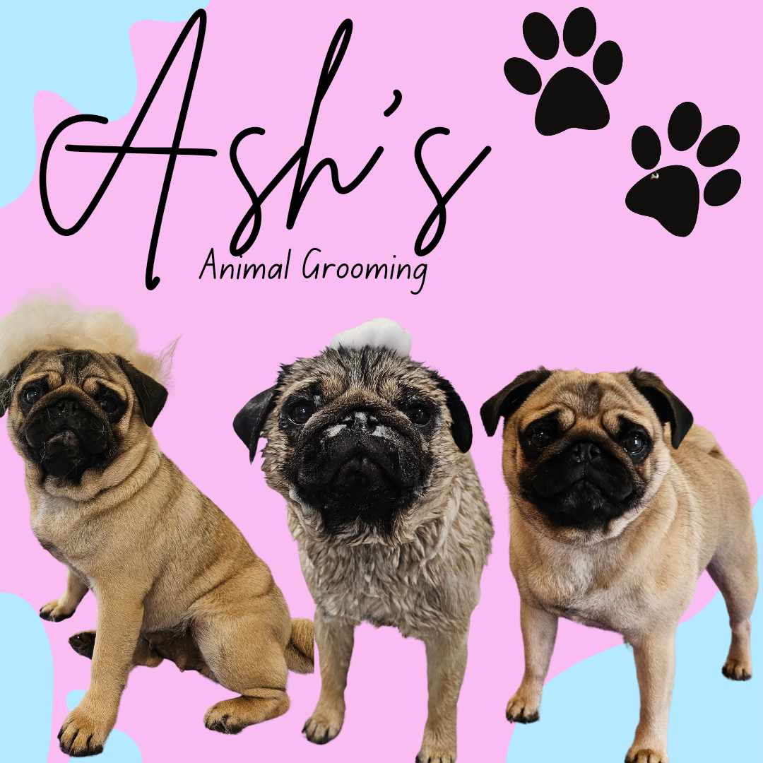 Online booking - Ash's Animal Grooming